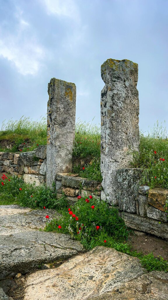 Crossword Puzzle: Framework structure