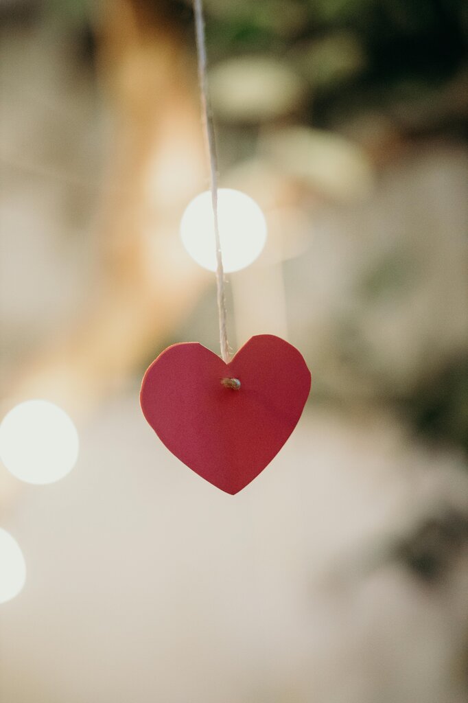 Froggy Jumps: Choose the correct answer (others)