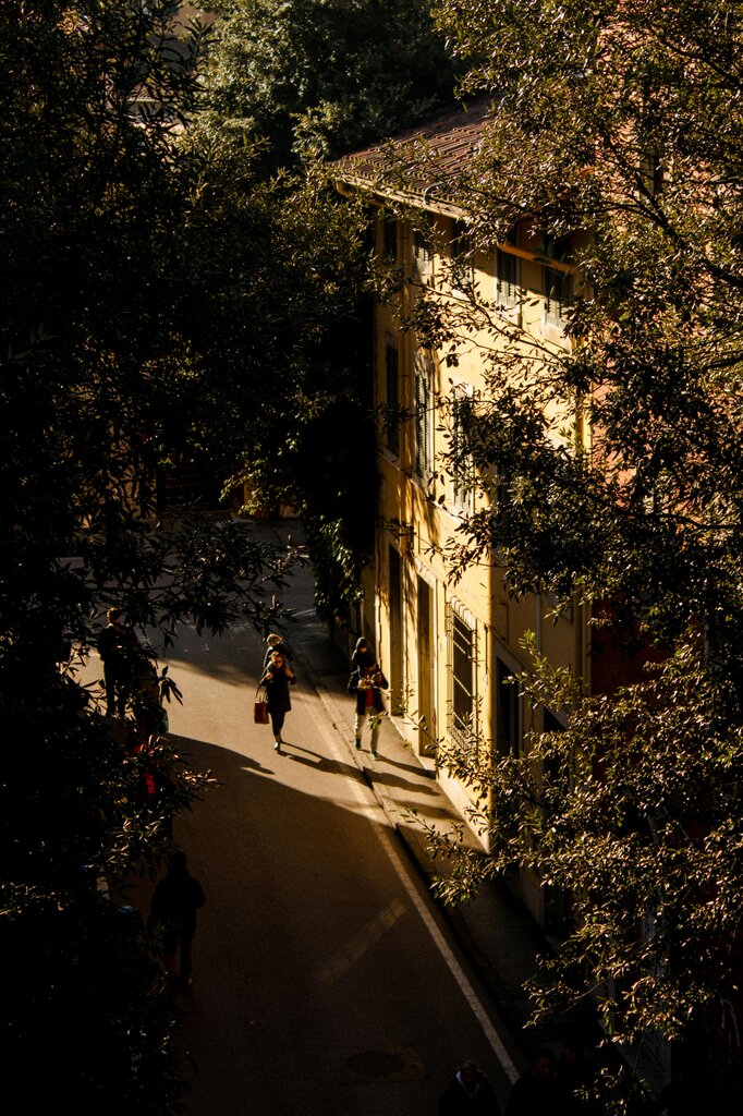 Unscramble Words: test game