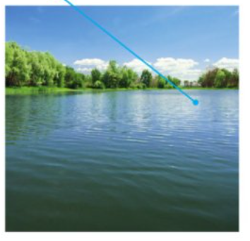 Froggy Jumps: Science Review for Test Bimester 4th (3º - educación ...