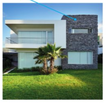 Froggy Jumps: Science Review for Test Bimester 4th (3º - educación ...