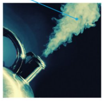 Froggy Jumps: Science Review for Test Bimester 4th (3º - educación ...